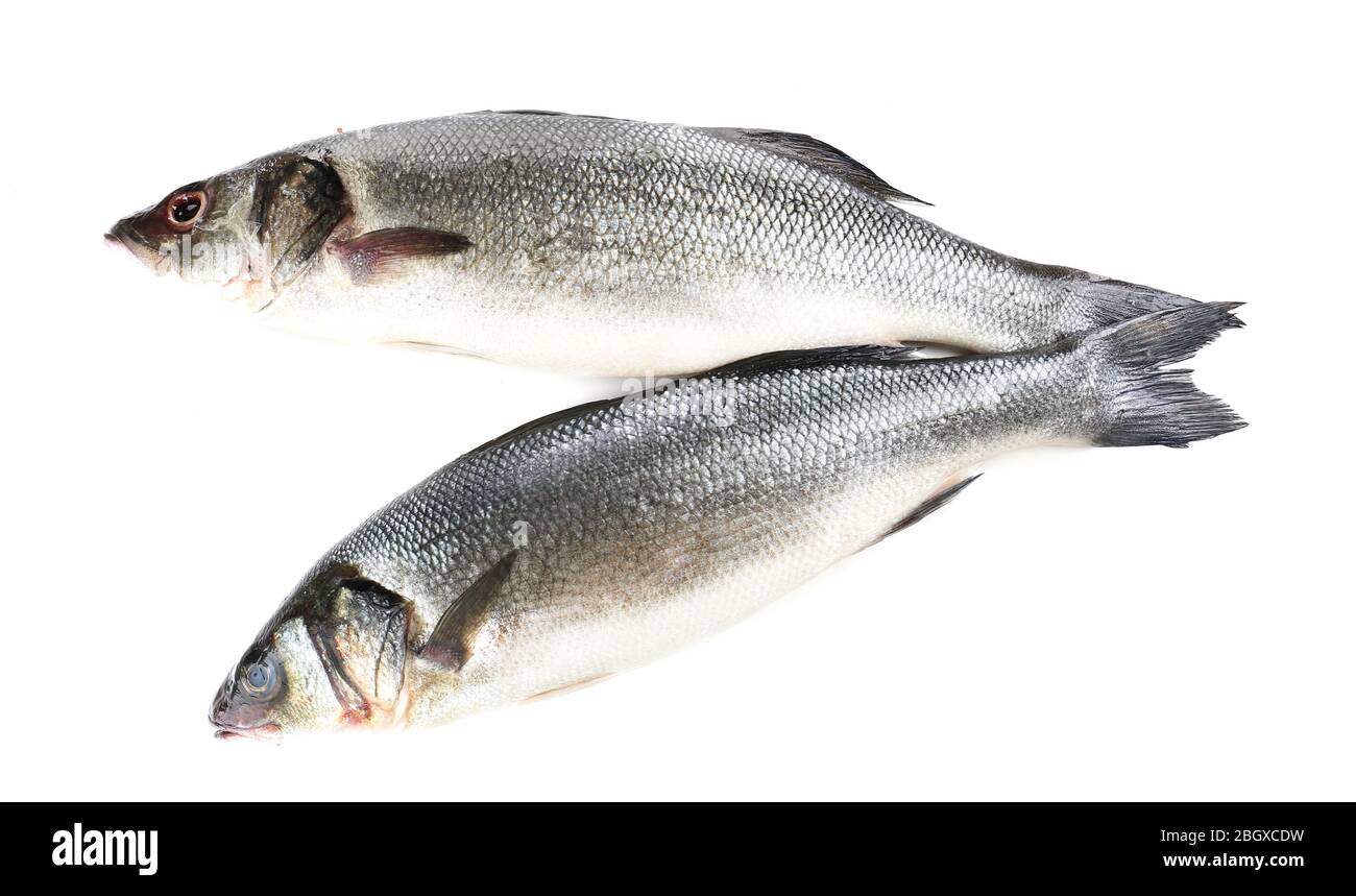 Fresh seabass fish isolated on white Stock Photo - Alamy