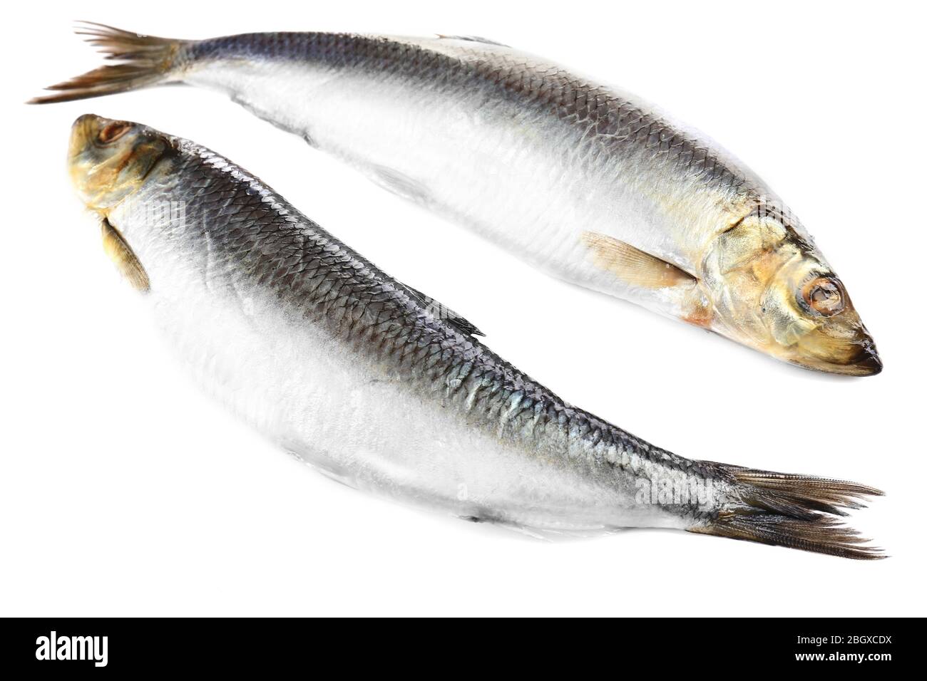 Fresh fish isolated on white Stock Photo - Alamy