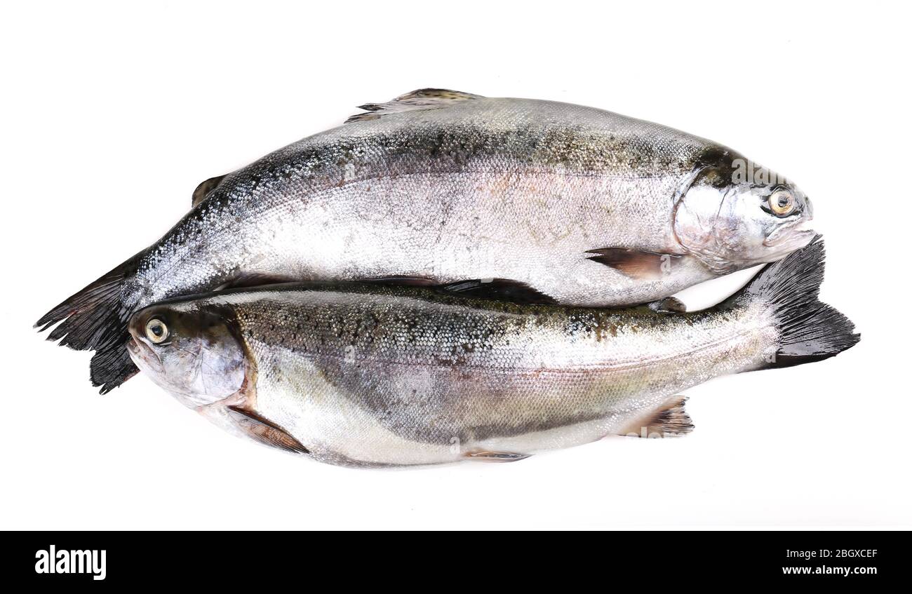 Fresh fish isolated on white Stock Photo - Alamy