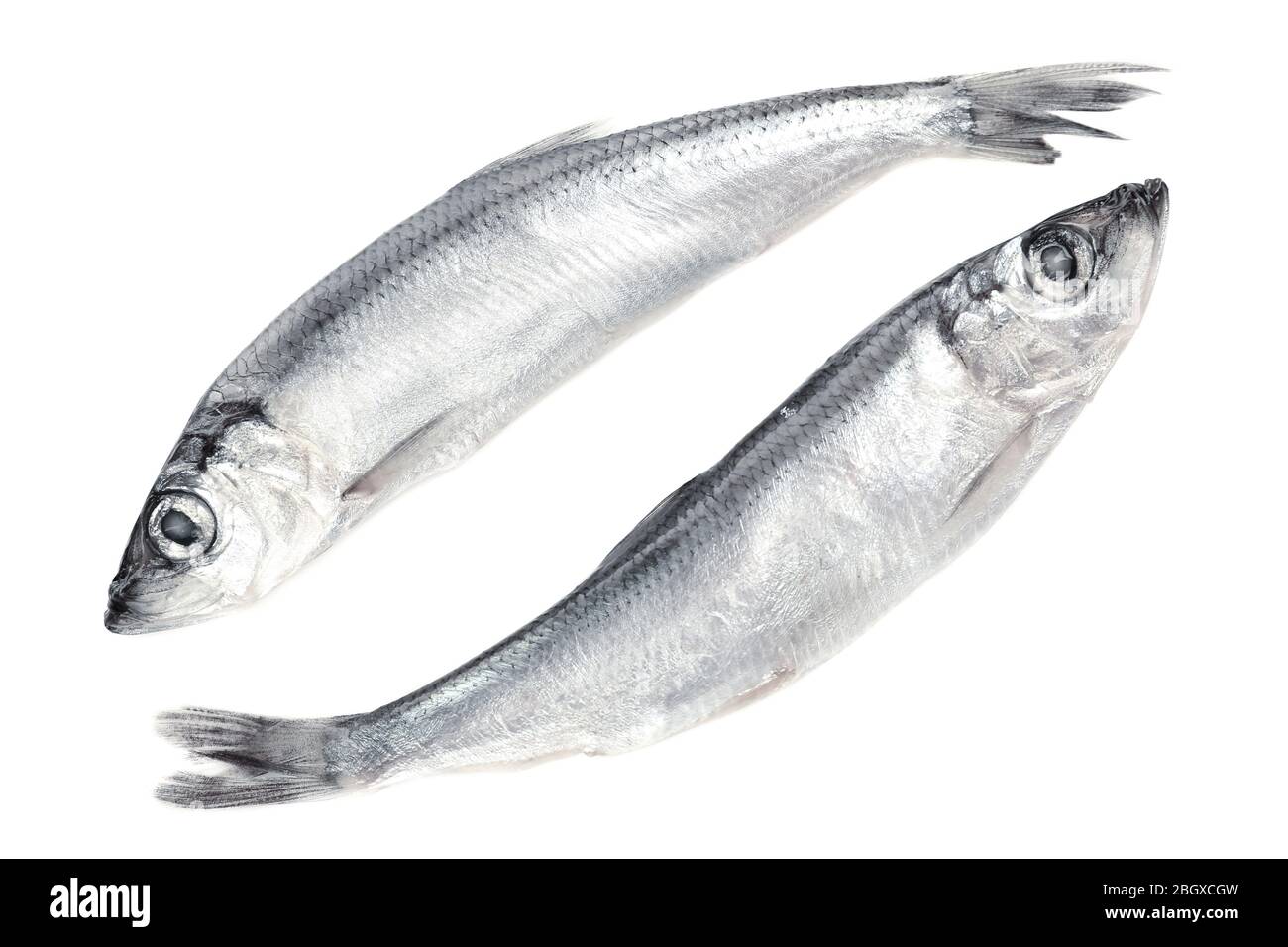 Fresh fish isolated on white Stock Photo - Alamy