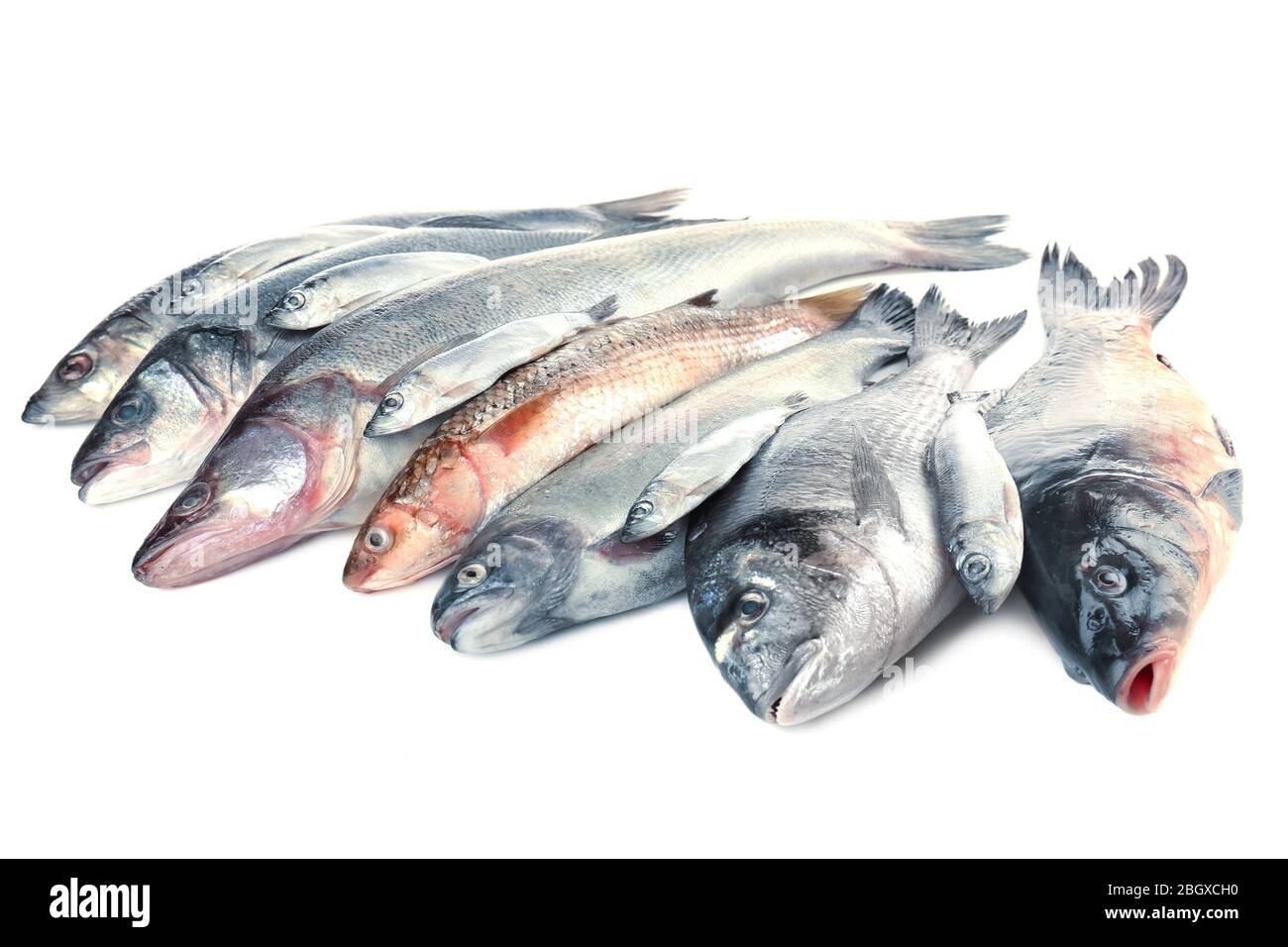 Fresh fish isolated on white Stock Photo - Alamy