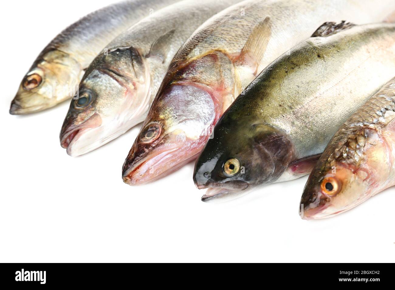 Fresh fish isolated on white Stock Photo - Alamy