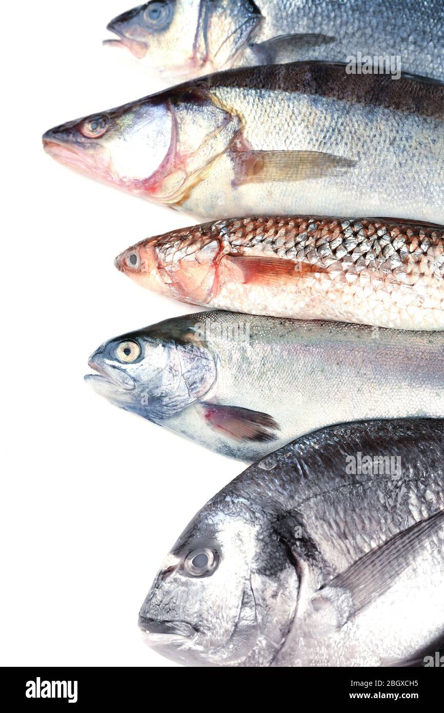 Fresh fish isolated on white Stock Photo - Alamy