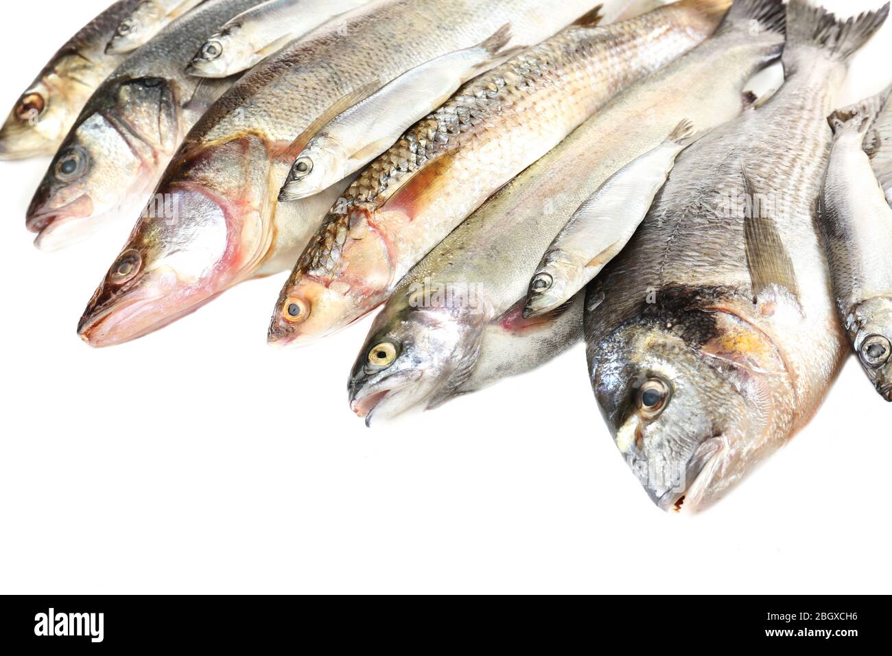 Fresh fish isolated on white Stock Photo - Alamy