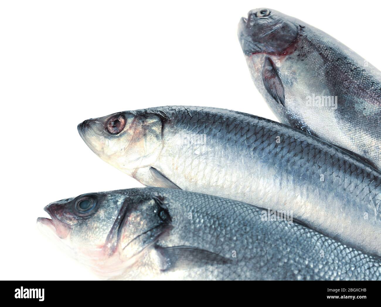 Fresh fish isolated on white Stock Photo - Alamy