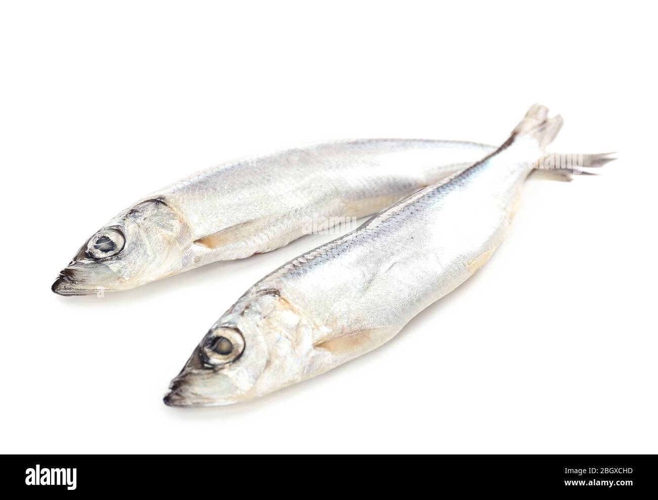 Fresh fish isolated on white Stock Photo - Alamy
