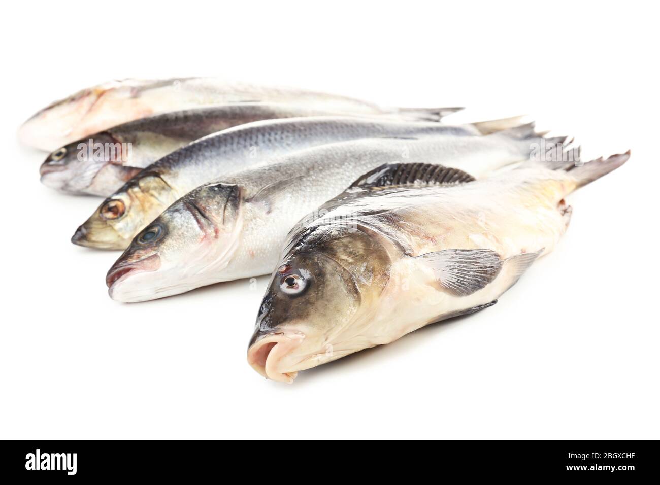 Fresh fish isolated on white Stock Photo - Alamy