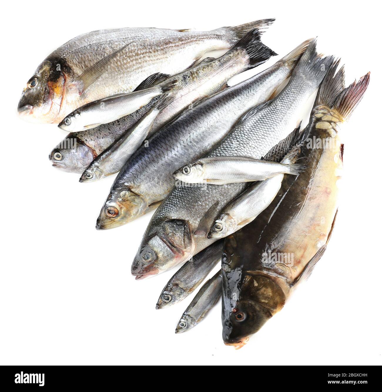 Fresh fish isolated on white Stock Photo - Alamy