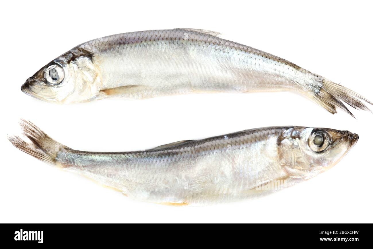 Fresh fish isolated on white Stock Photo - Alamy