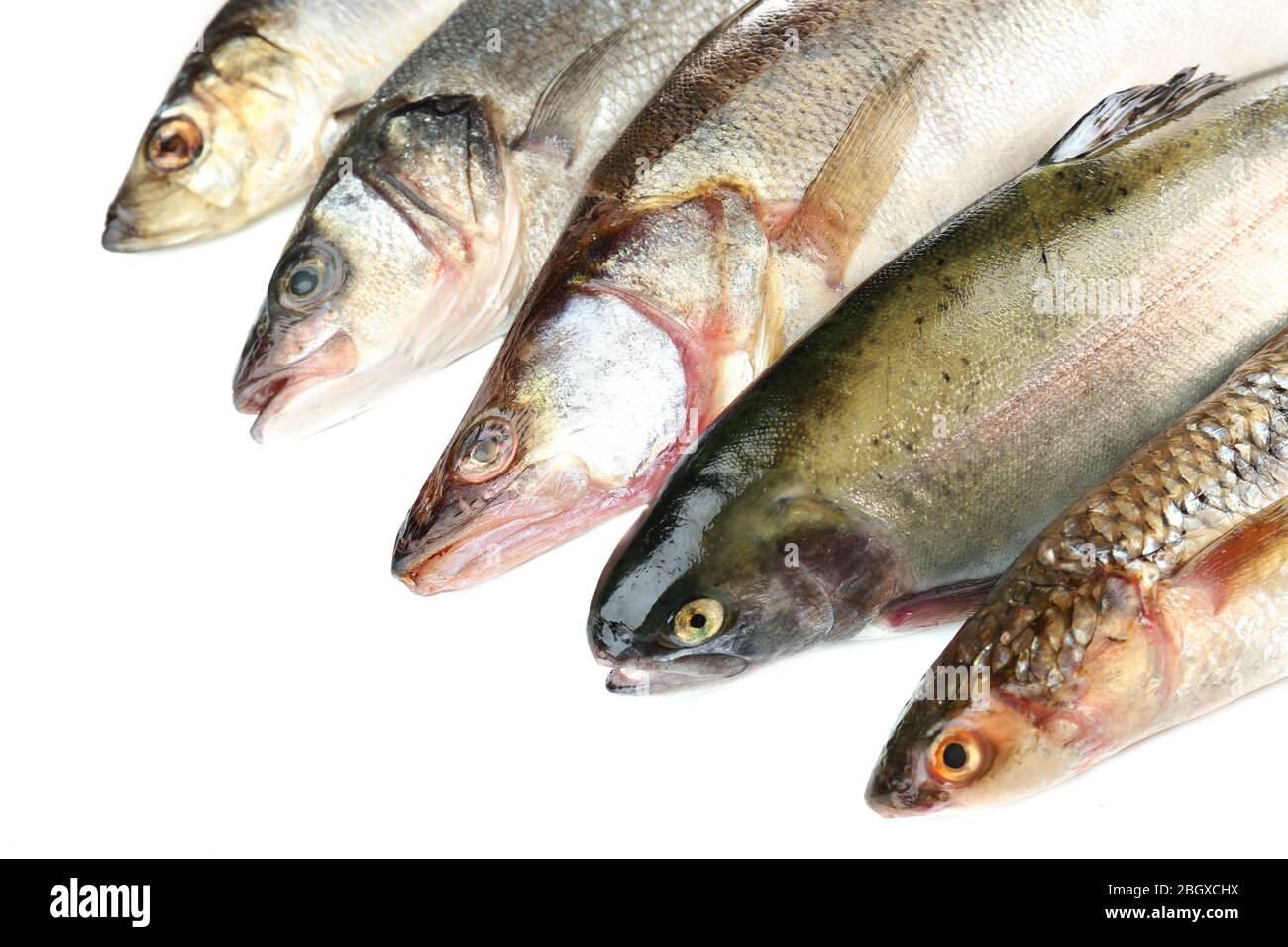 Fresh fish isolated on white Stock Photo - Alamy
