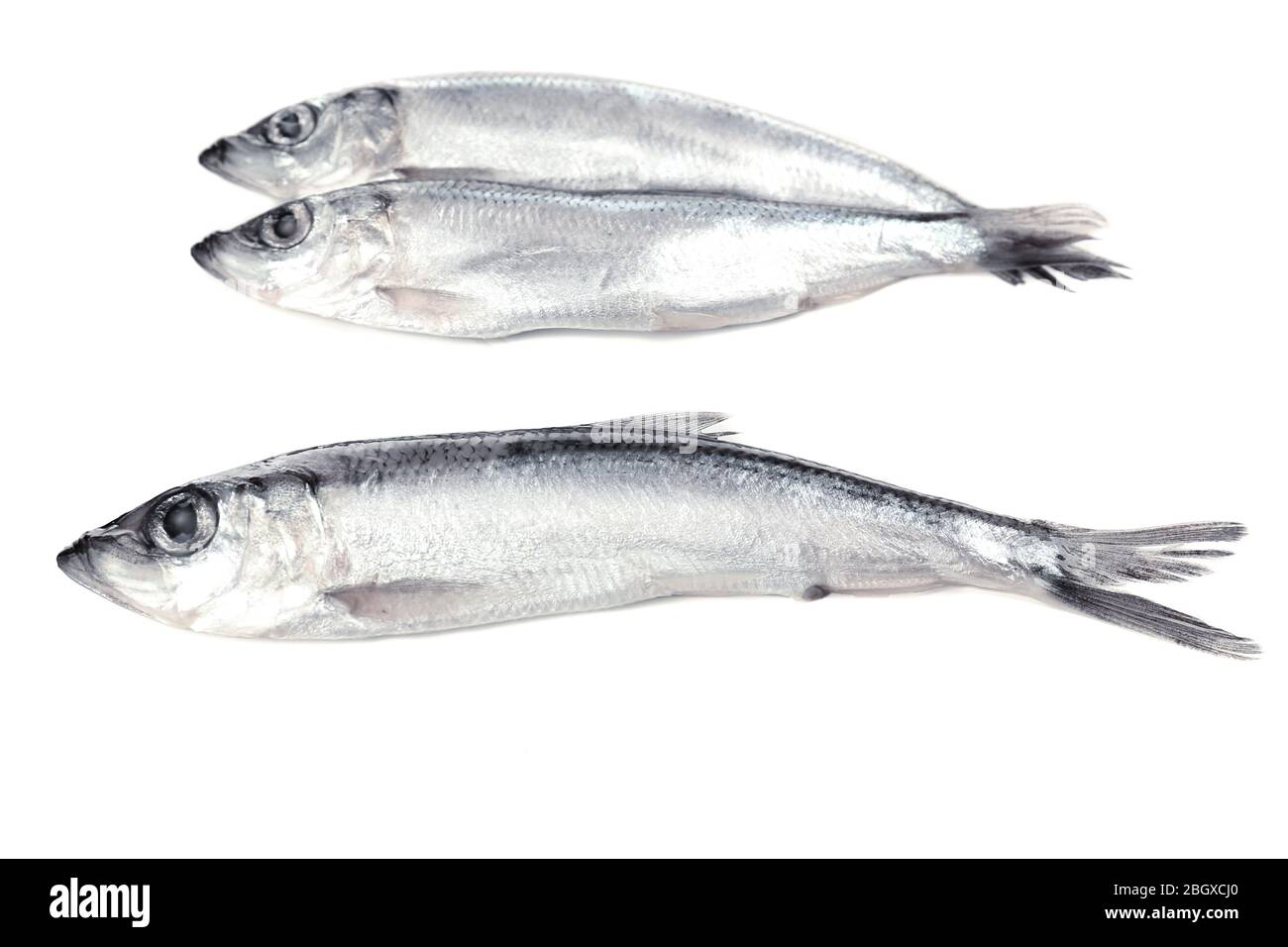 Fresh fish isolated on white Stock Photo - Alamy