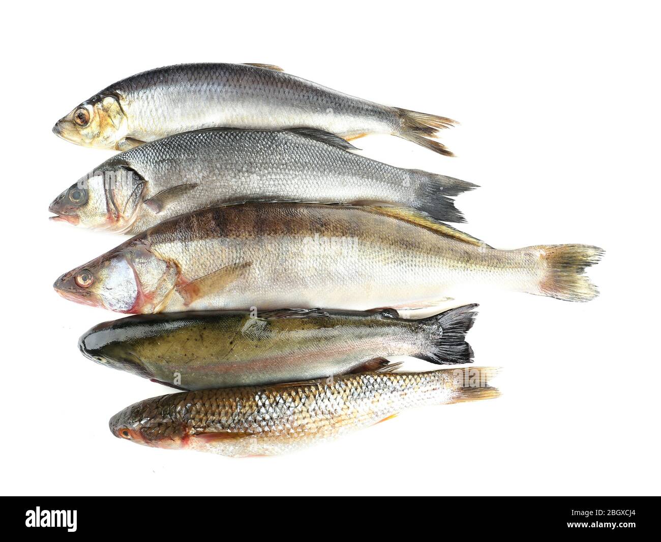 Fresh fish isolated on white Stock Photo - Alamy