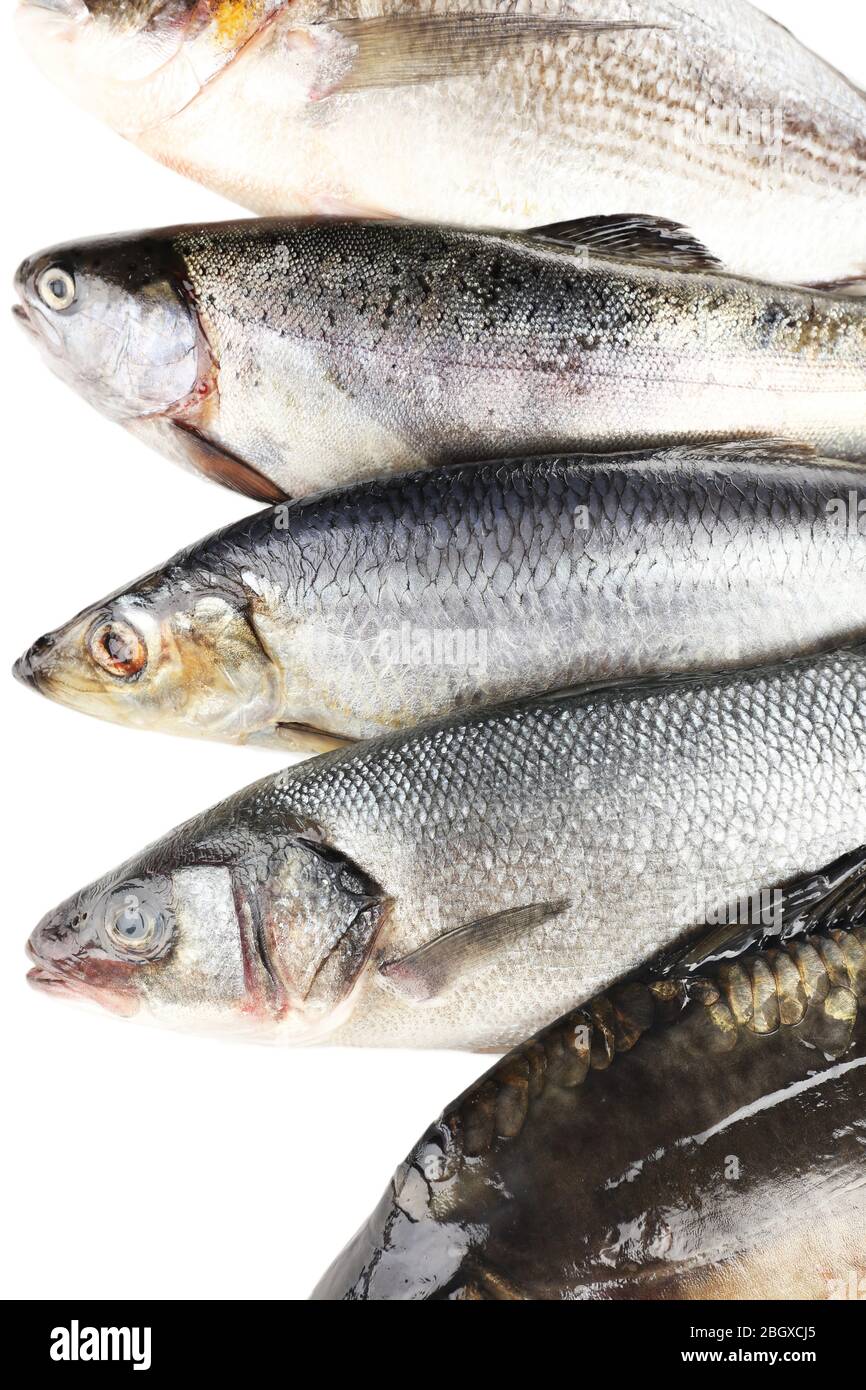 Fresh fish close-up Stock Photo - Alamy