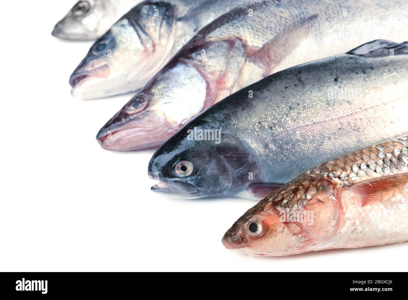 Fresh fish isolated on white Stock Photo - Alamy