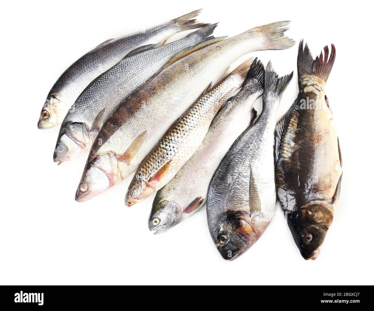 Fresh fish isolated on white Stock Photo - Alamy