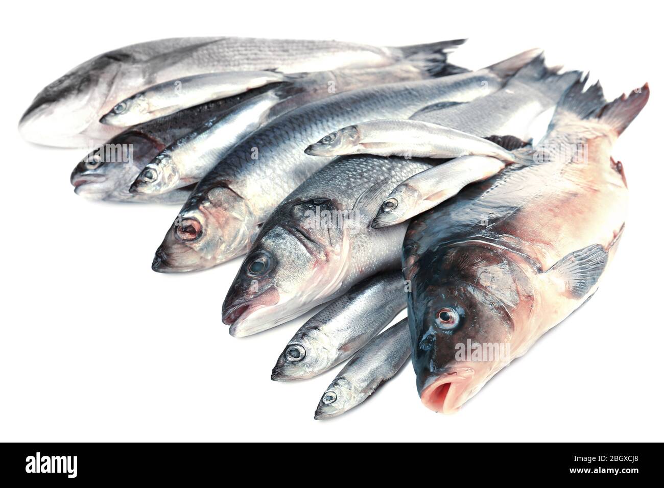 Fresh fish isolated on white Stock Photo - Alamy