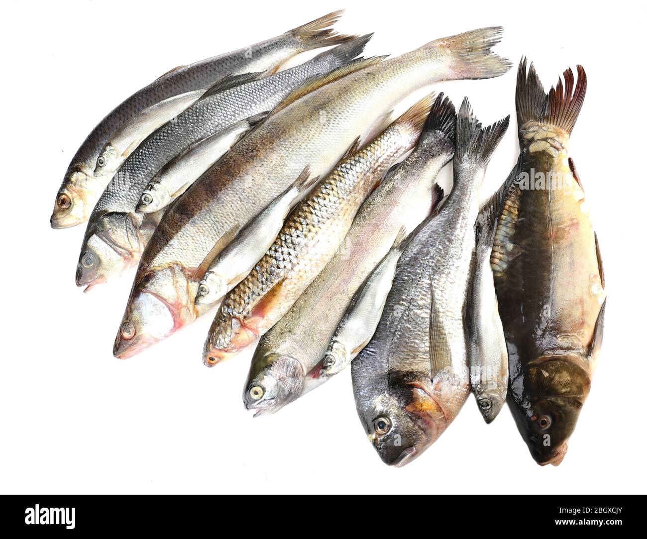 Fresh fish isolated on white Stock Photo - Alamy