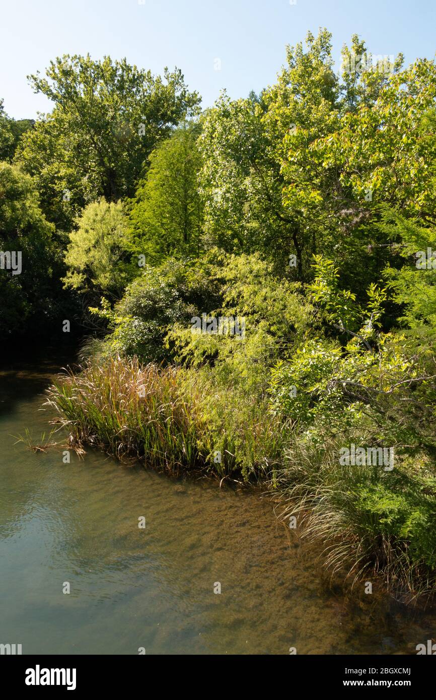 Austin texas path park hi-res stock photography and images - Alamy