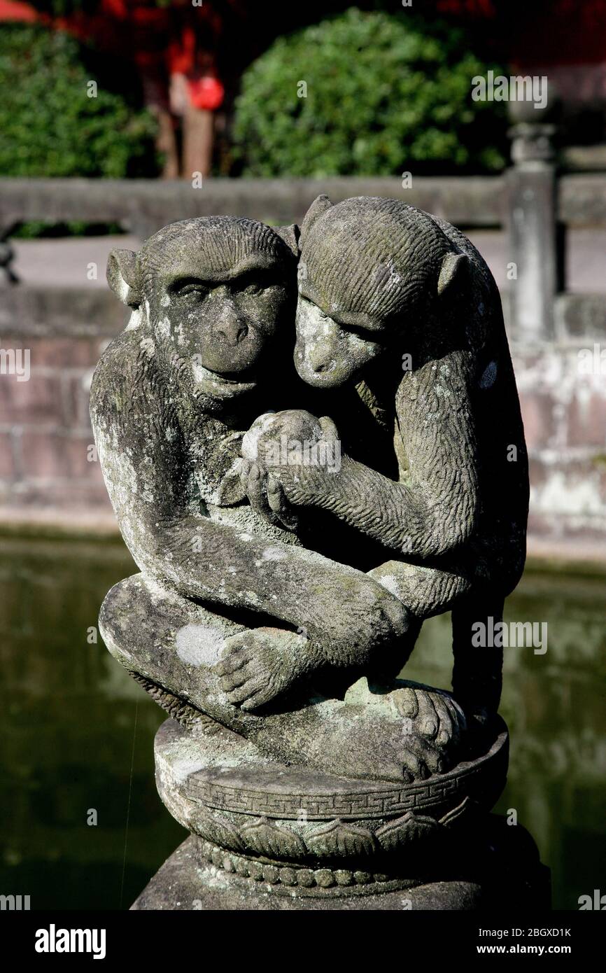 Monkey on bridge hi-res stock photography and images - Alamy