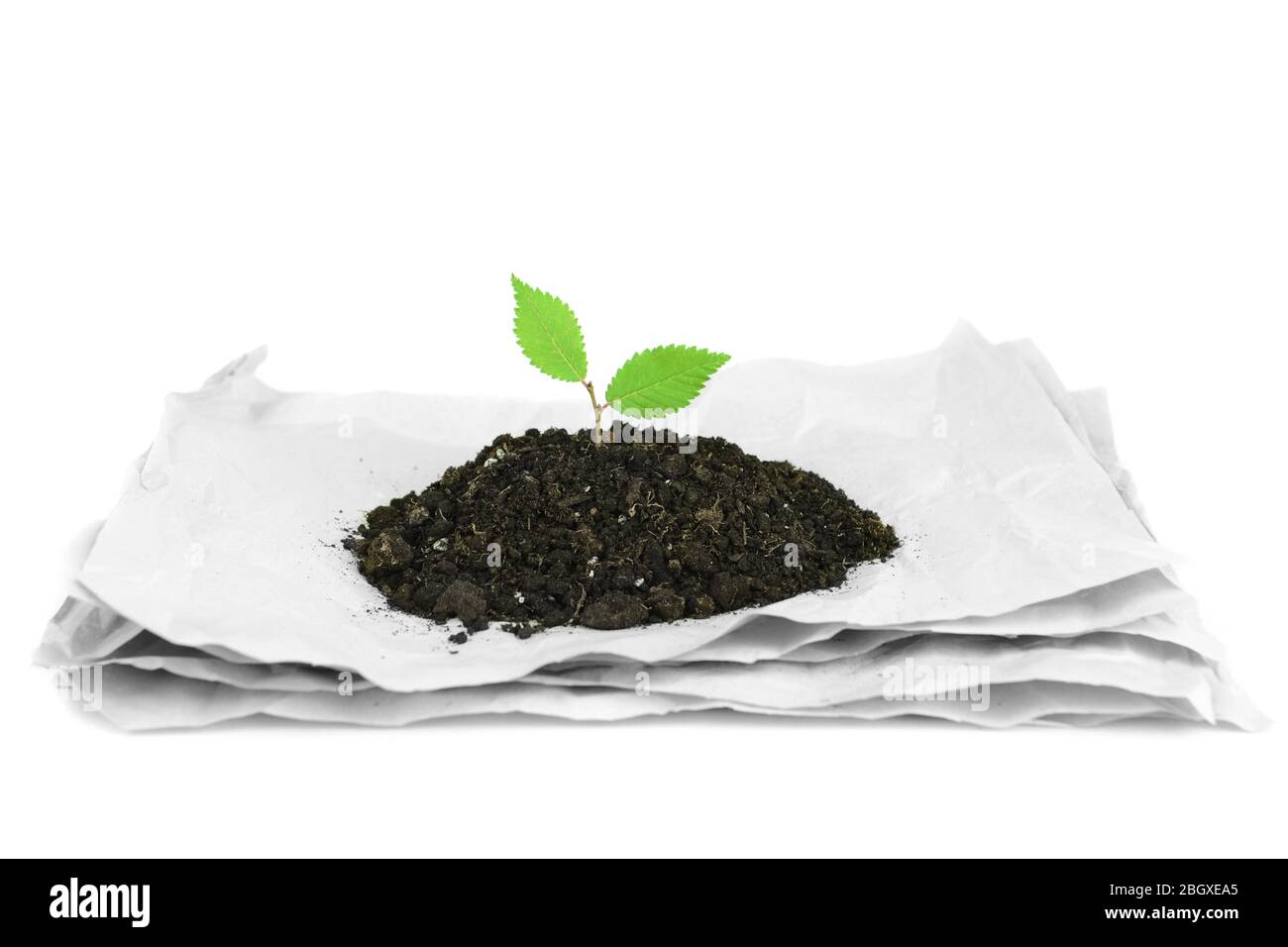 Plant growing from paper isolated on white Stock Photo - Alamy