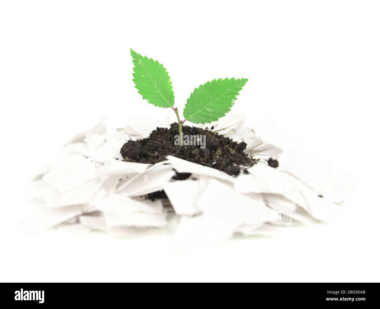 Environmental rehabilitation Cut Out Stock Images & Pictures - Alamy