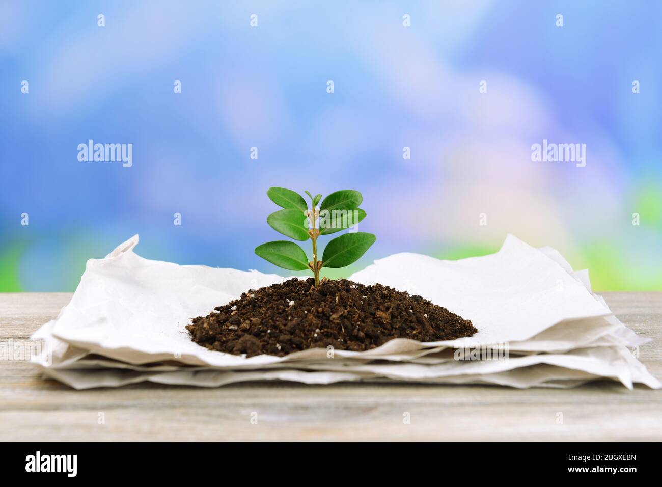 Plant growing from paper on table on bright background Stock Photo - Alamy
