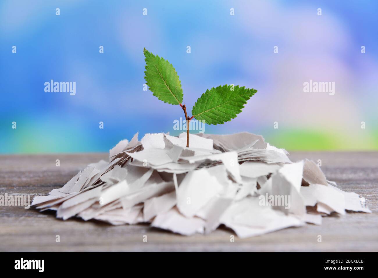 Plant growing from paper on table on bright background Stock Photo - Alamy