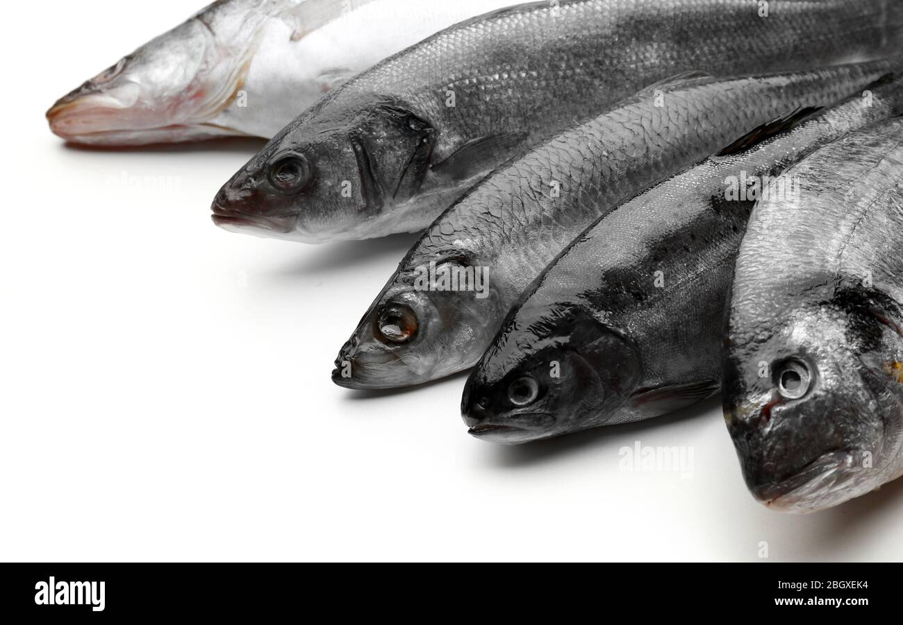 Fresh fish isolated on white Stock Photo - Alamy