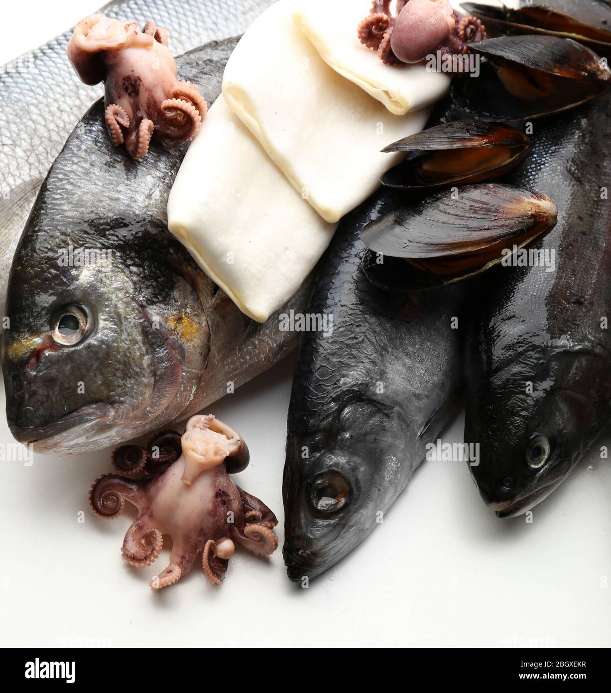 Fresh catch of fish and other seafood close-up Stock Photo - Alamy