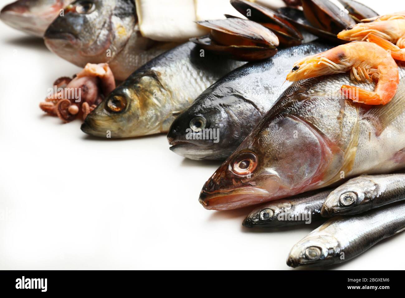 Fresh catch of fish and other seafood close-up Stock Photo - Alamy