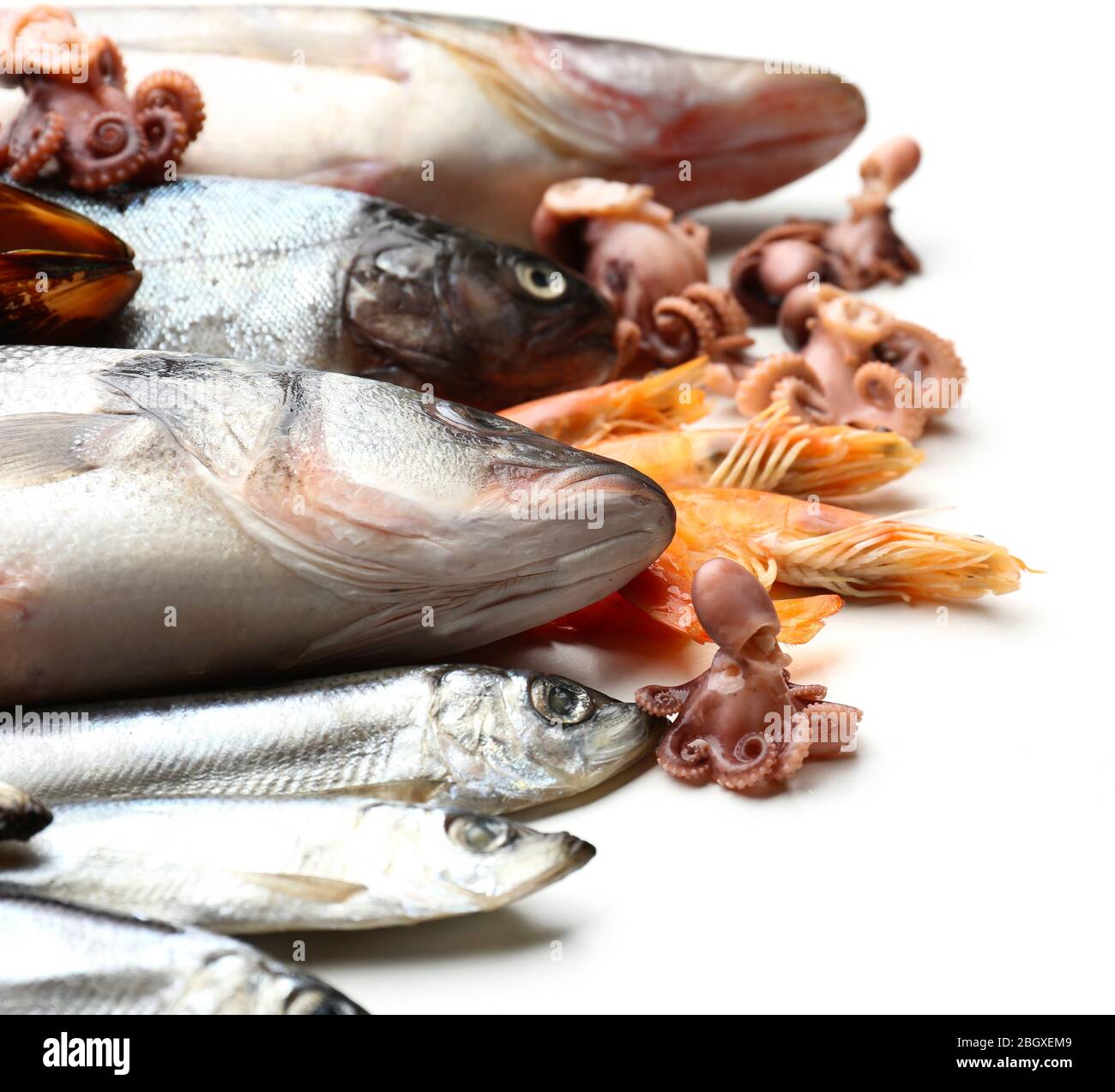 Fresh catch of fish and other seafood isolated on white Stock Photo - Alamy