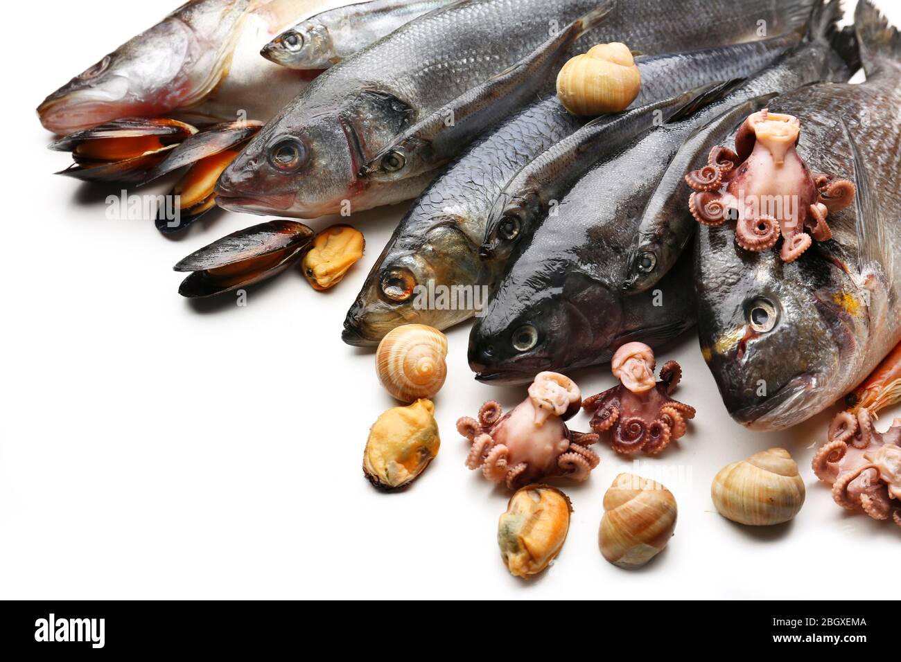 Fresh catch of fish and other seafood close-up Stock Photo - Alamy