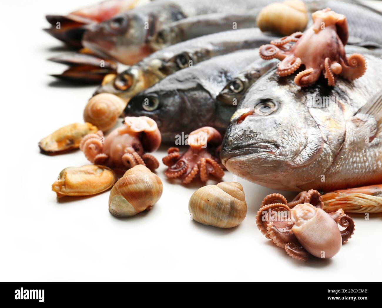 Fresh catch of fish and other seafood close-up Stock Photo - Alamy