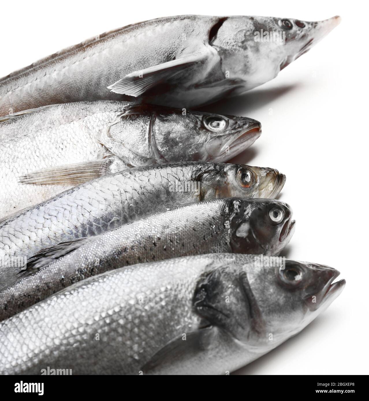 Fresh fish isolated on white Stock Photo - Alamy