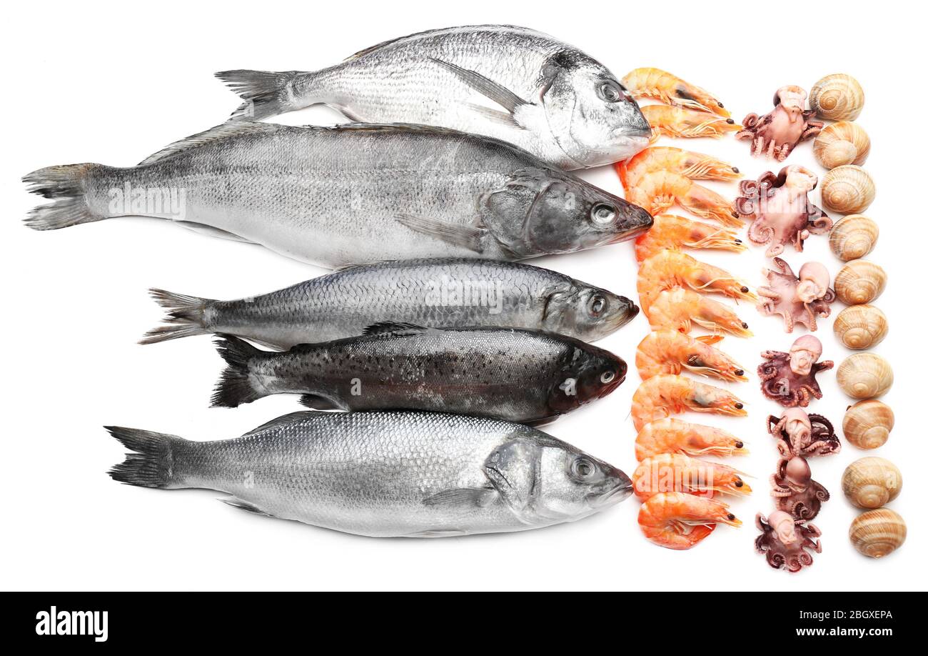 Fresh catch of fish and other seafood close-up Stock Photo - Alamy
