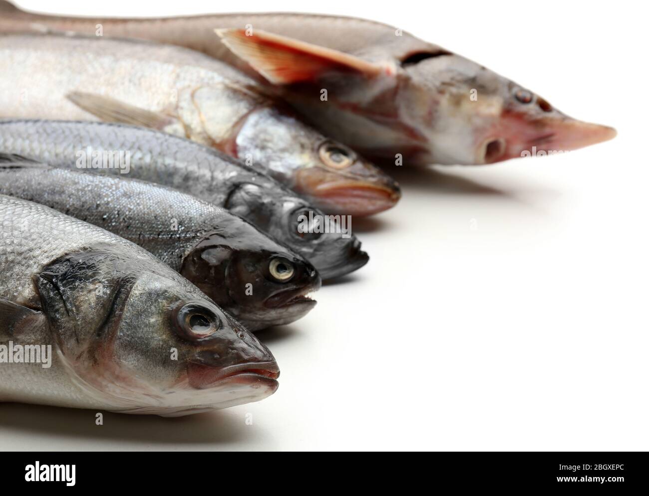 Fresh fish isolated on white Stock Photo - Alamy