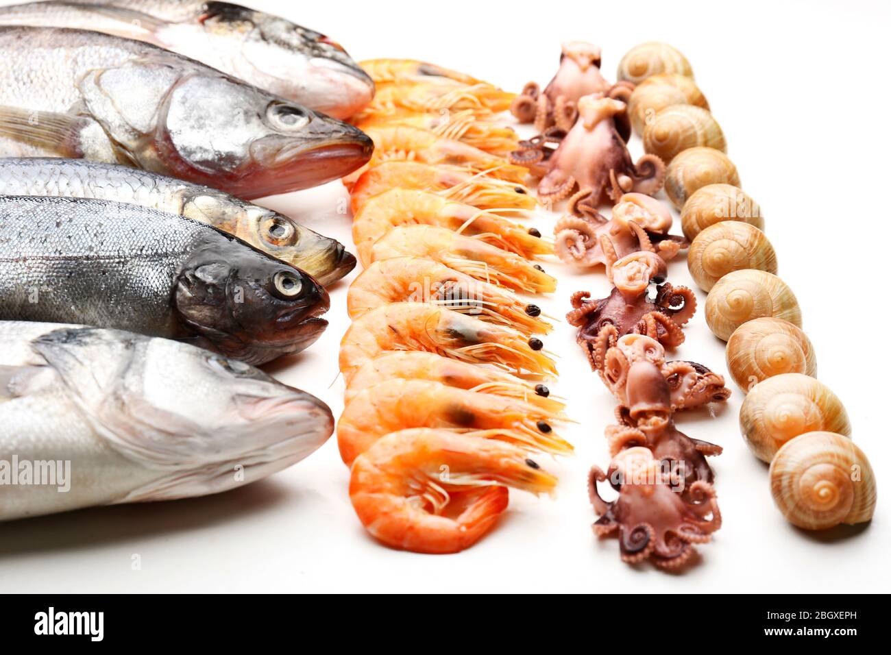 Fresh catch of fish and other seafood close-up Stock Photo - Alamy