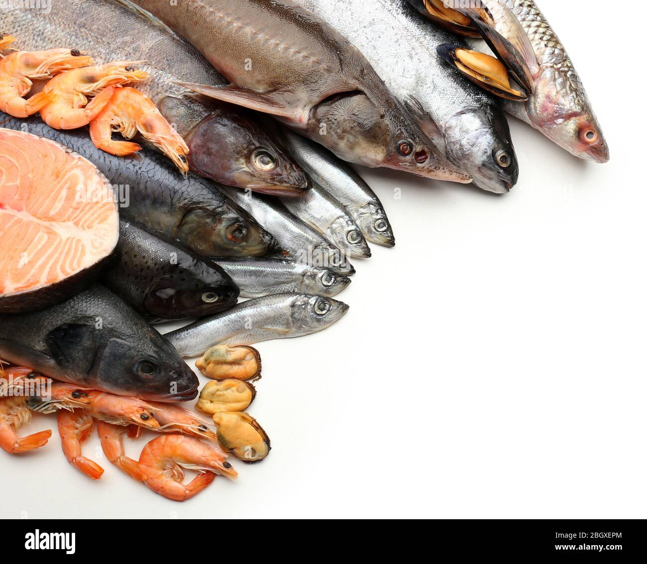 Fresh catch of fish and other seafood isolated on white Stock Photo - Alamy