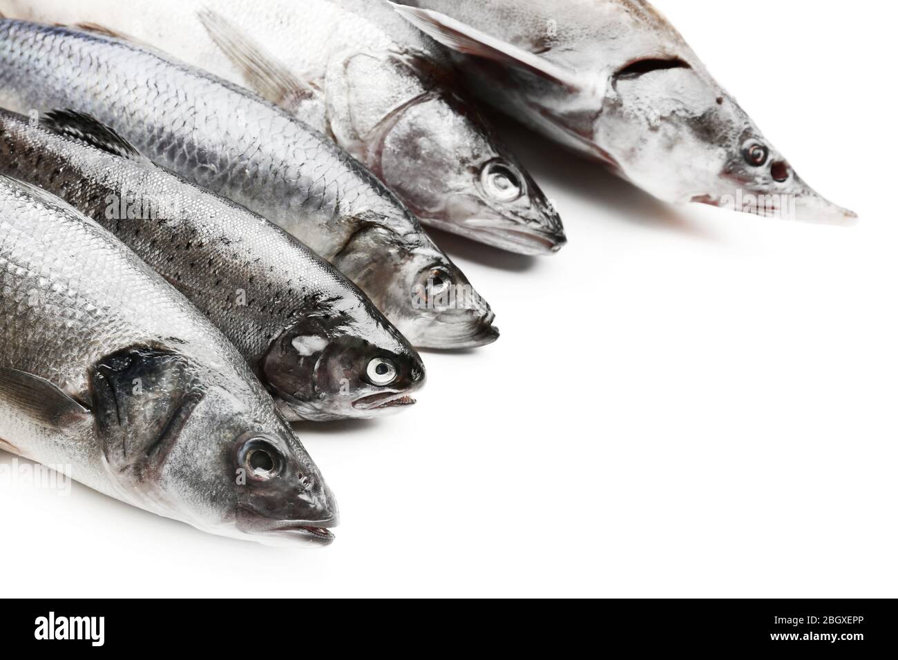 Fresh fish isolated on white Stock Photo - Alamy