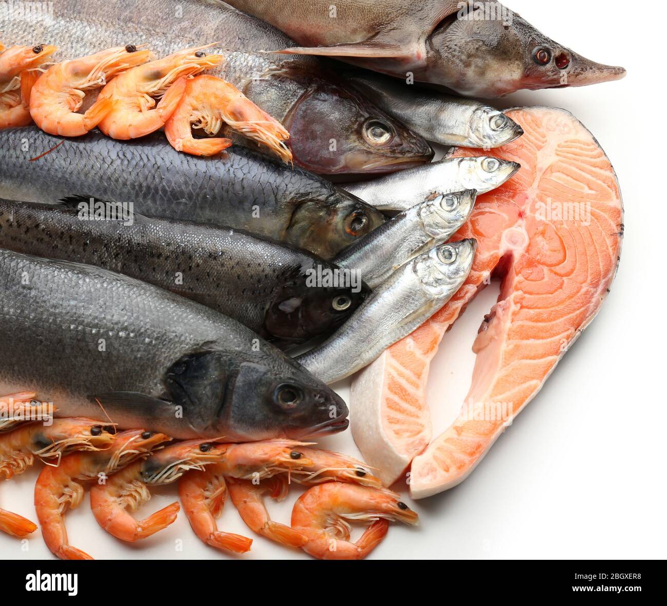 Salmon and other fish underwater hi-res stock photography and images ...