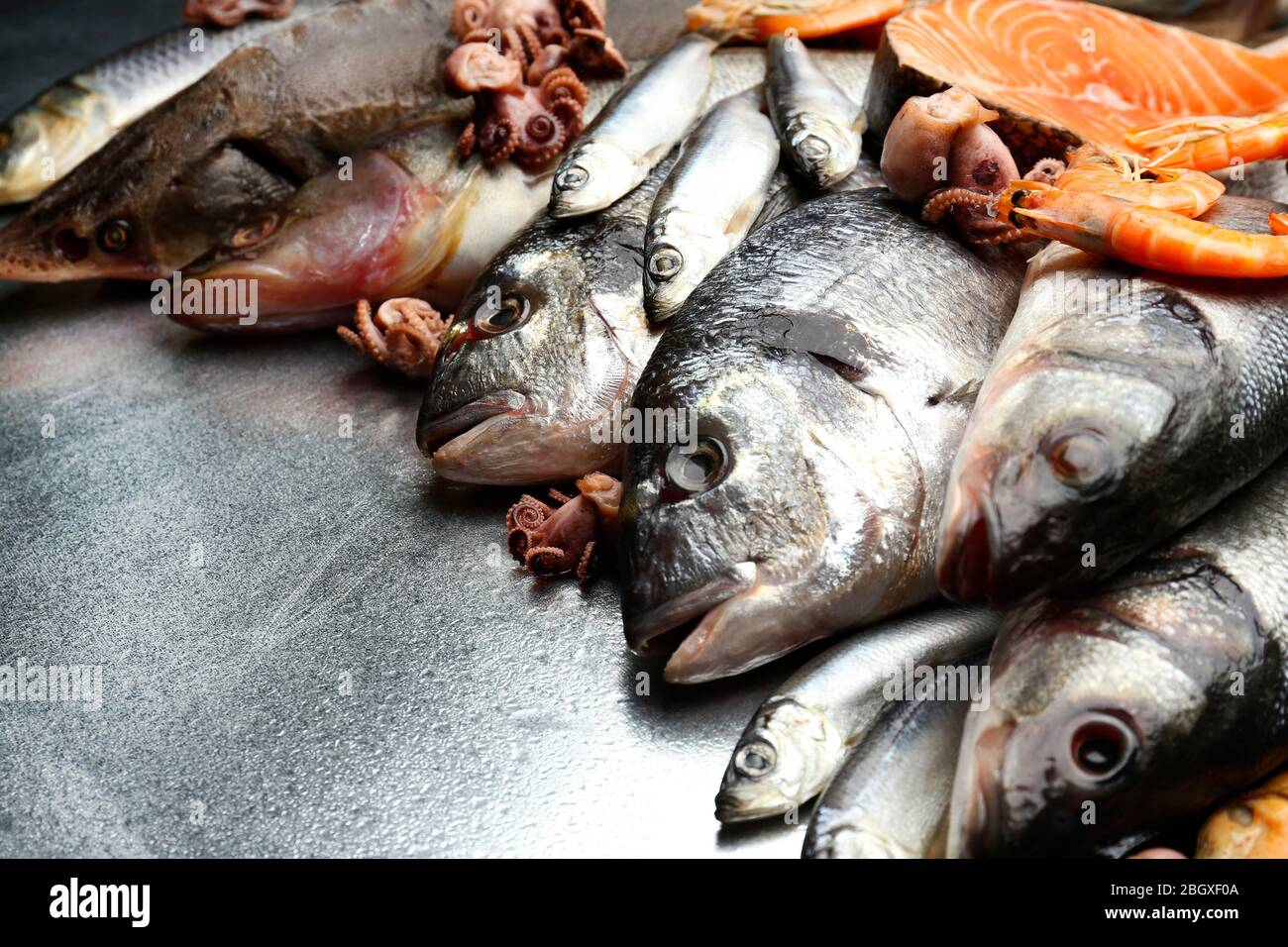 Salmon and other fish underwater hi-res stock photography and images ...