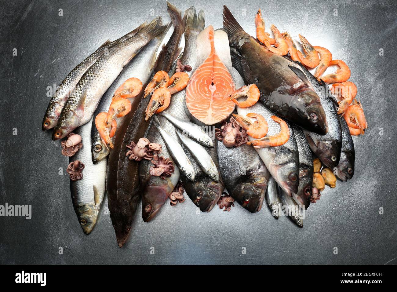 Fresh catch of fish and other seafood close-up Stock Photo - Alamy