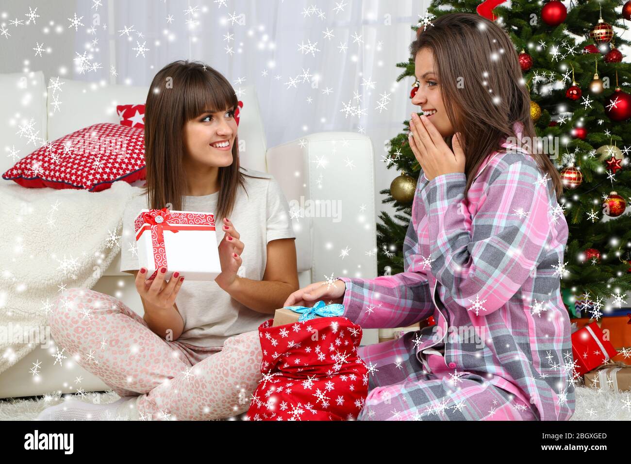 Beautiful young sisters twins. Christmas and New Year Stock Photo - Alamy
