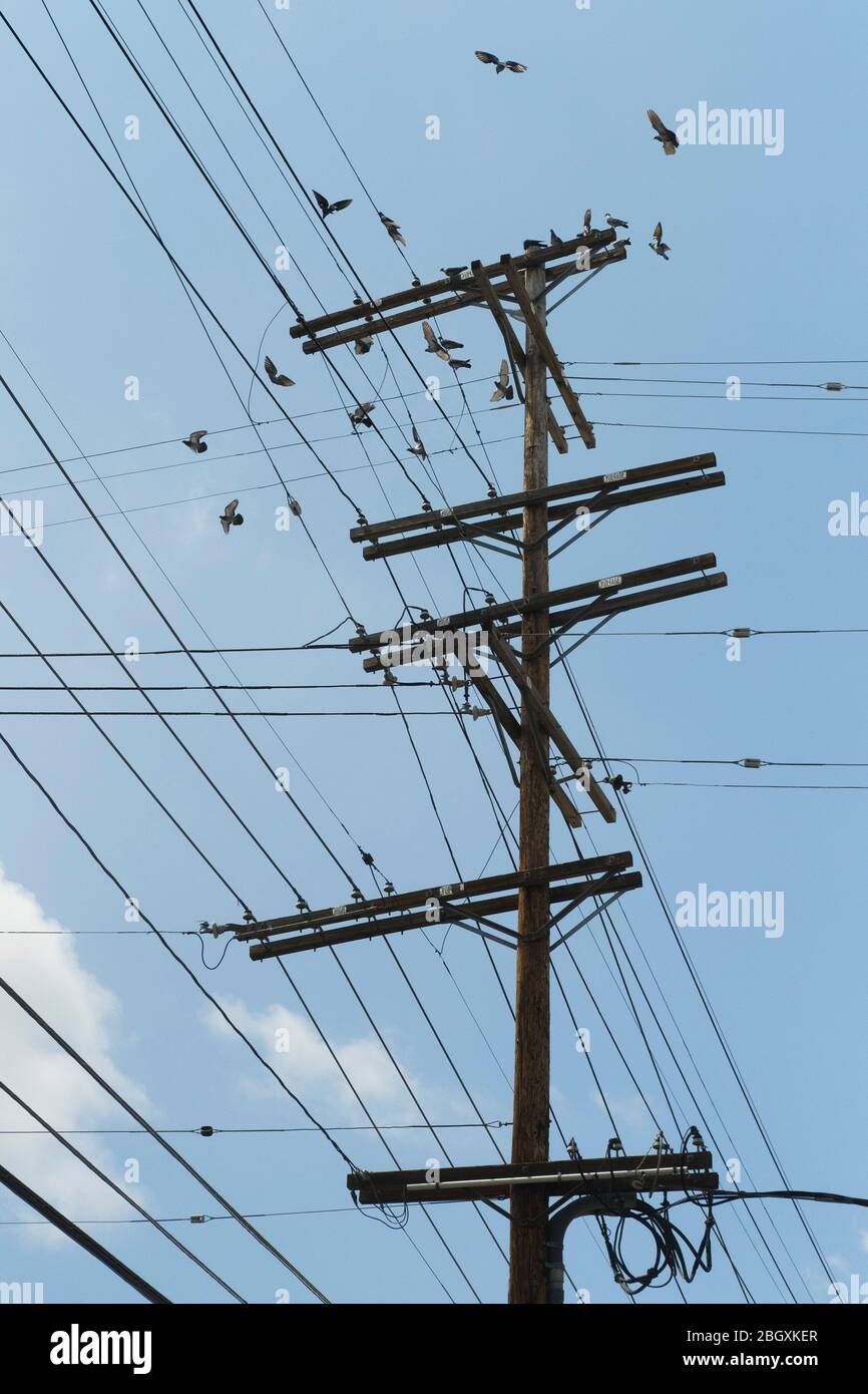 Power Lines Los Angeles California High Resolution Stock Photography ...
