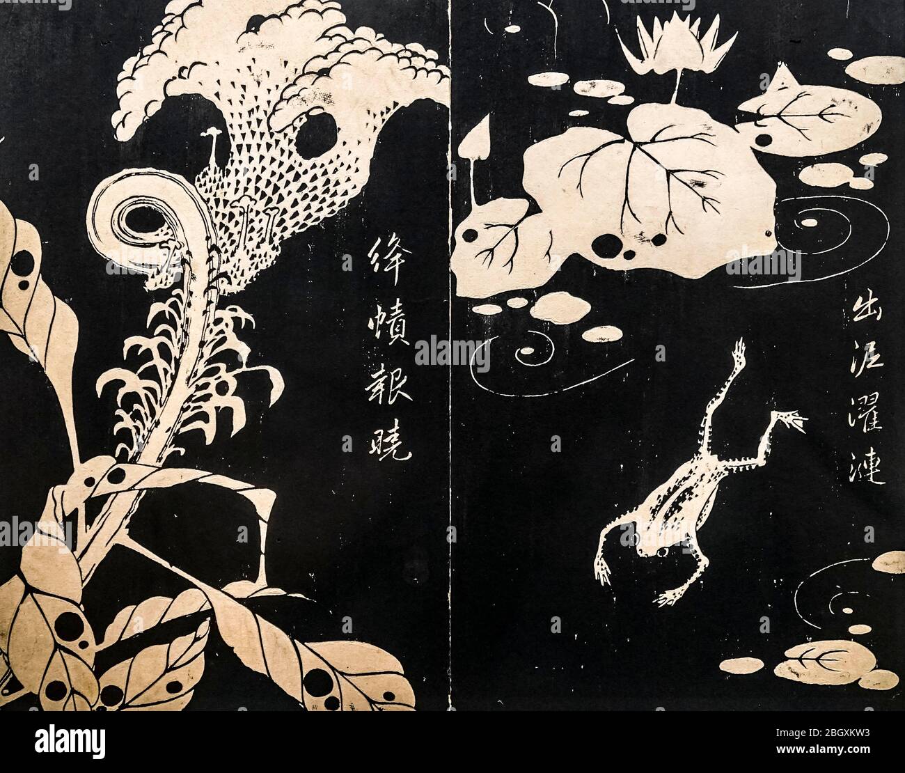 Lily ito hi-res stock photography and images - Alamy