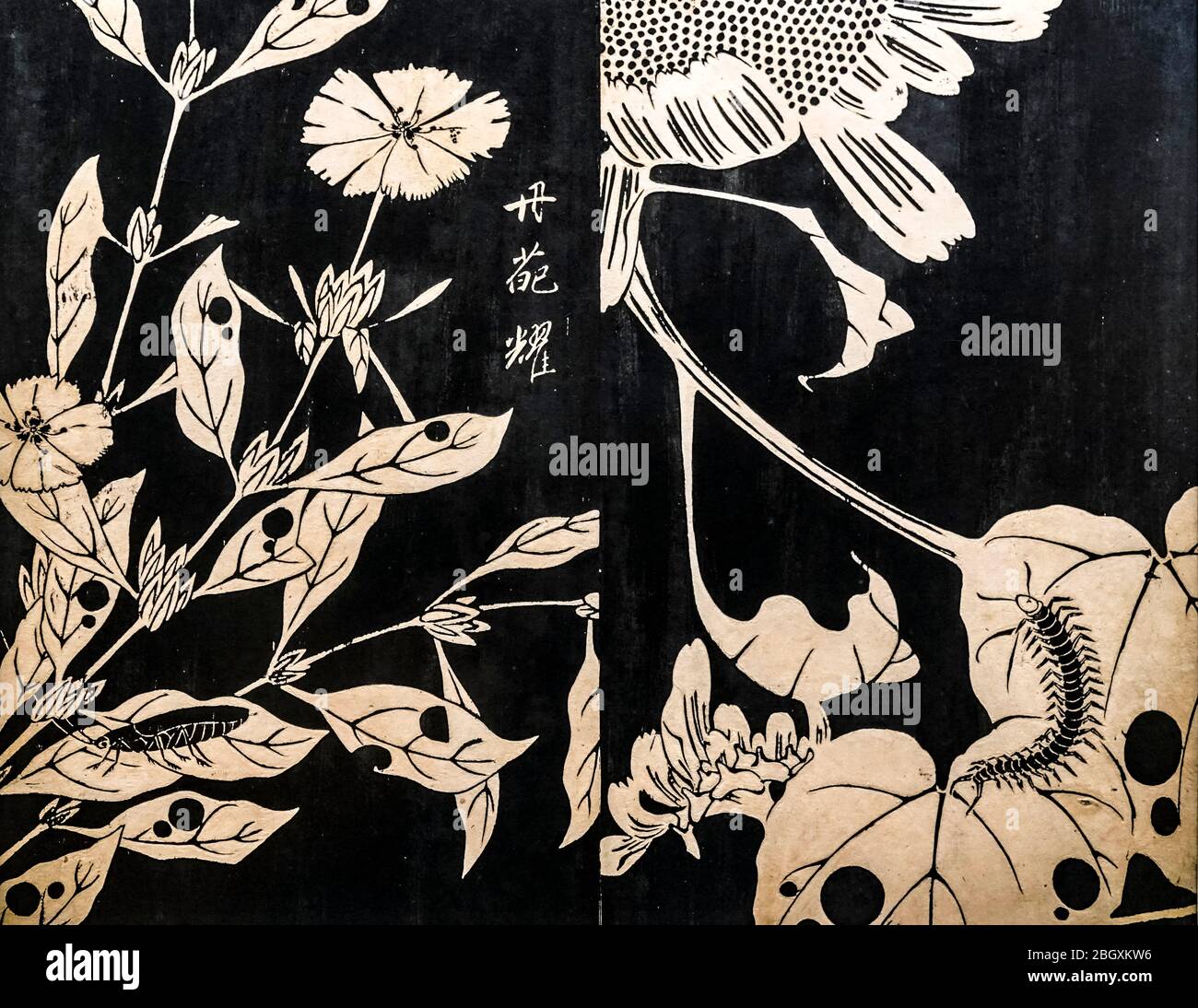 Sunflower and centipede, Genpoyoka (Exquisite flowers from the realm of ...