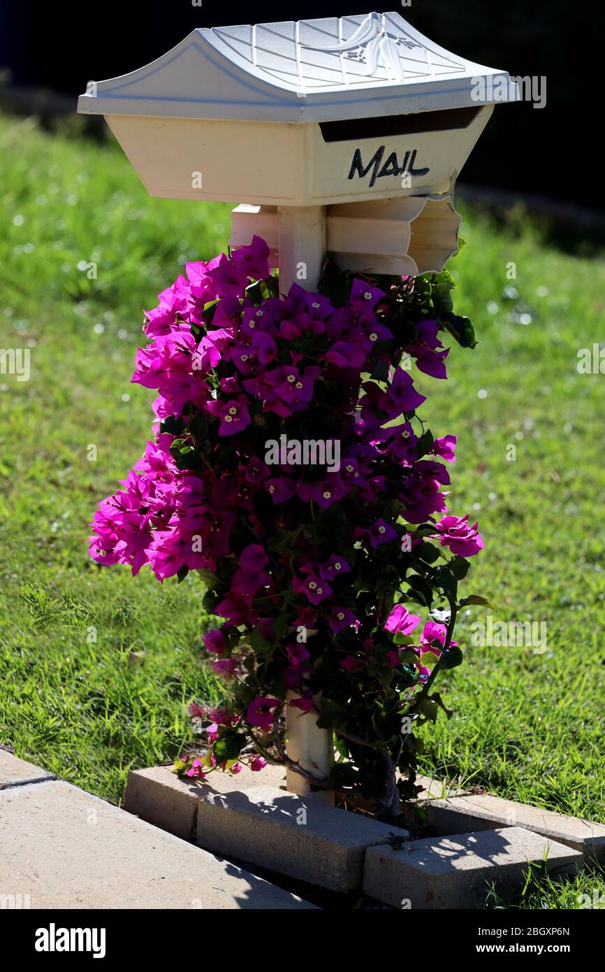 Photograph: A lovely flowered mailbox that sets a mood of natures ...