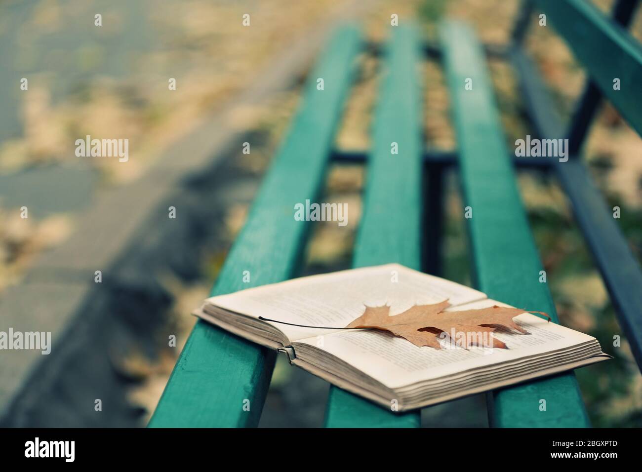 Open book with leaf lying on the bench in autumn park Stock Photo - Alamy