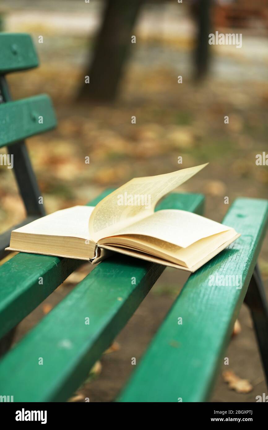 Autumn leaves lie on a wooden bench hi-res stock photography and images ...