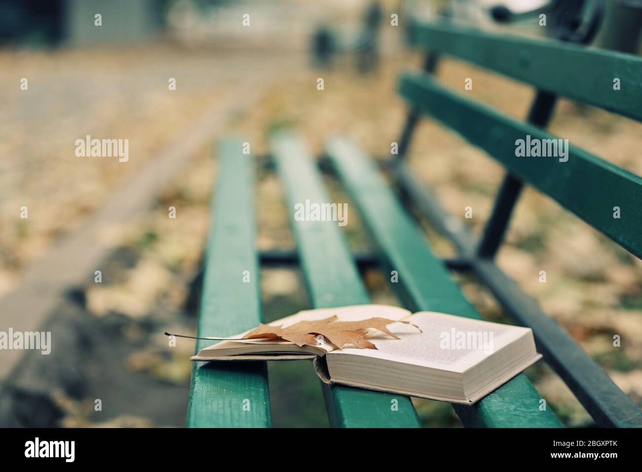 Open book with leaf lying on the bench in autumn park Stock Photo - Alamy